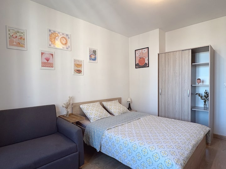 Appartment T1 En Plein Centre D'annecy - Seynod