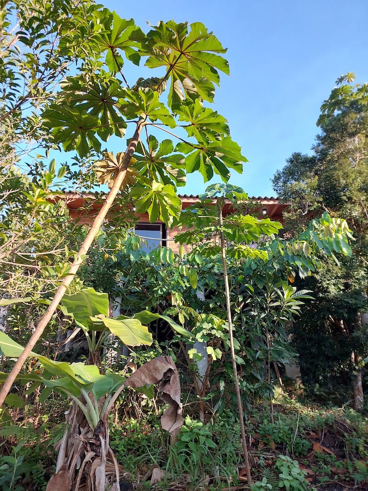 Cabana Caminho Do Sol - Governador Celso Ramos
