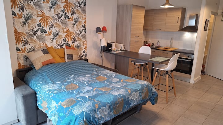 Superbe Studio 50m Mer, Centre Ville, Pking, Clim - La Grande-Motte