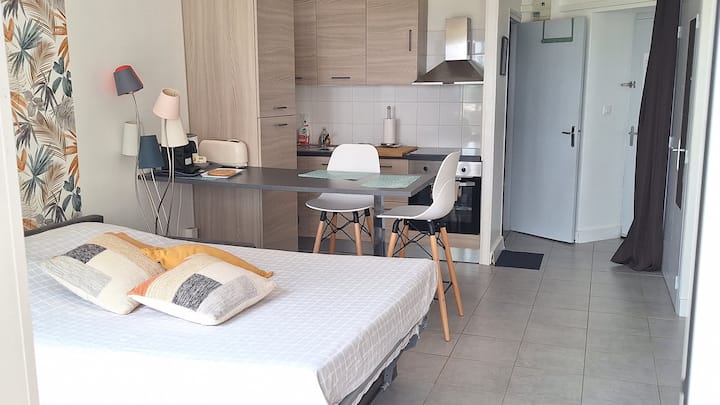 Superbe Studio 50m Mer, Centre Ville, Pking, Clim - La Grande-Motte