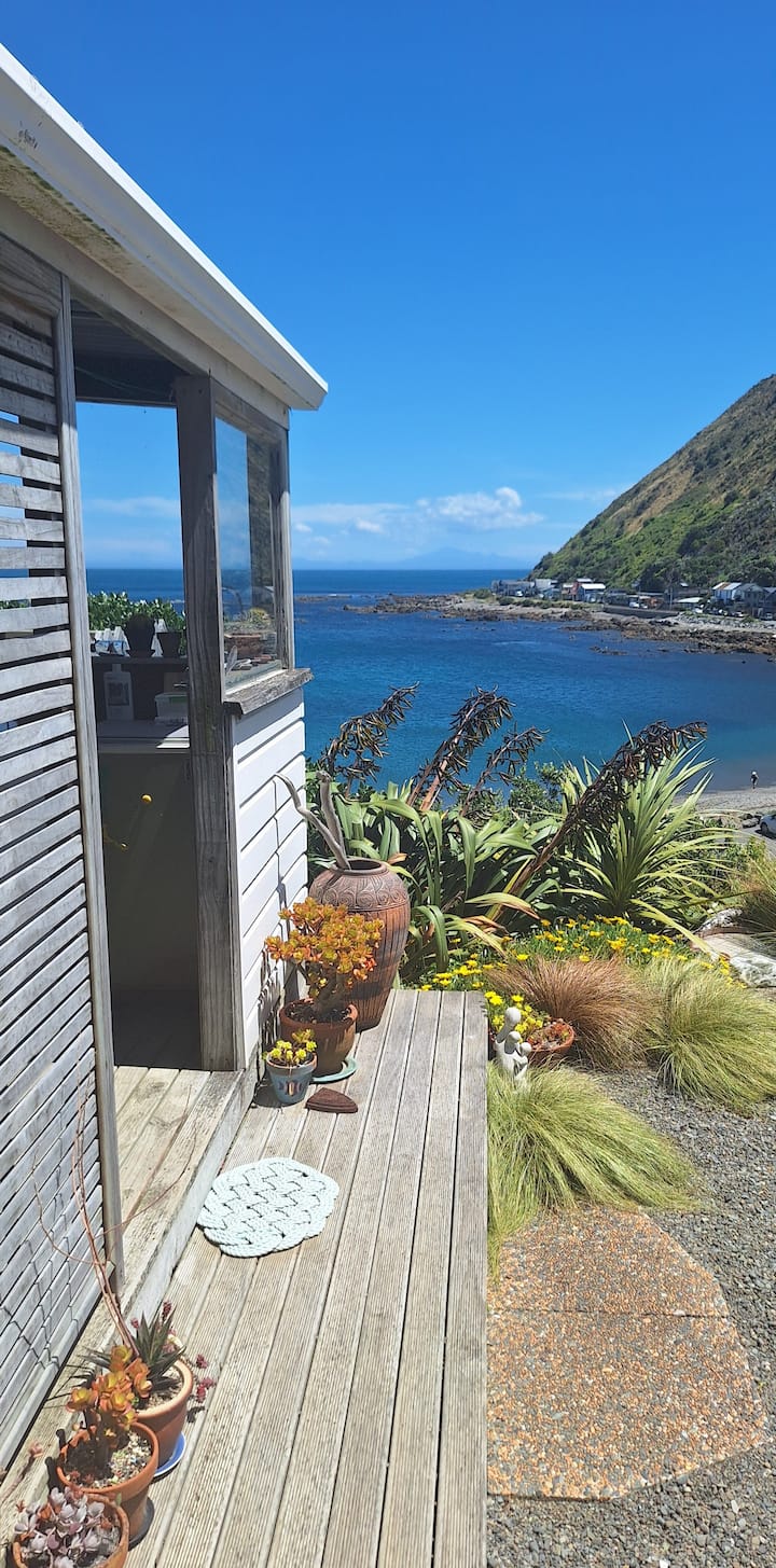 Seaside Retreat On Wellington's South Coast. - Wellington