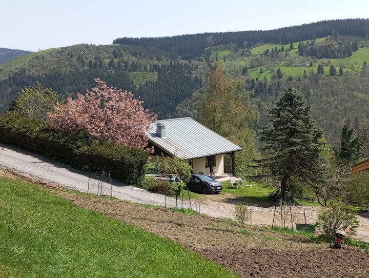 Maison Type Châlet - La Bresse