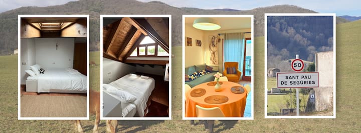 Cal Harry - Tu Casa De Vacaciones En Los Pirineos - Olot