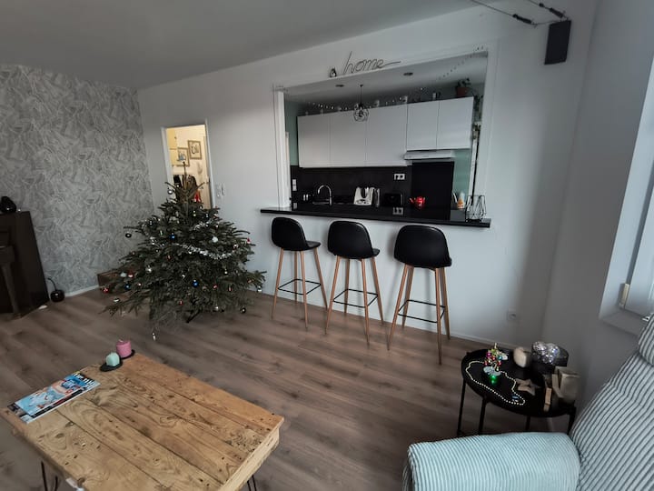 Charme à L'anglaise En Centre-ville - Belfort