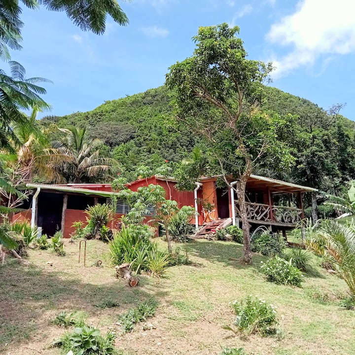 Maison Typique En Bois Au Coeur De La Nature - Dominica