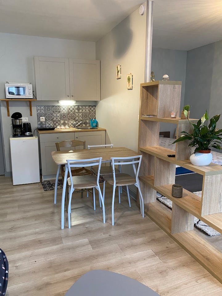 Studio Bar Sur Aube - Bar-sur-Aube
