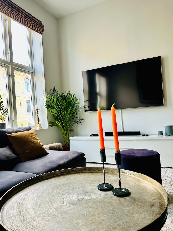 Central Apartment Next To Frogner & Aker Brygge - Oslo