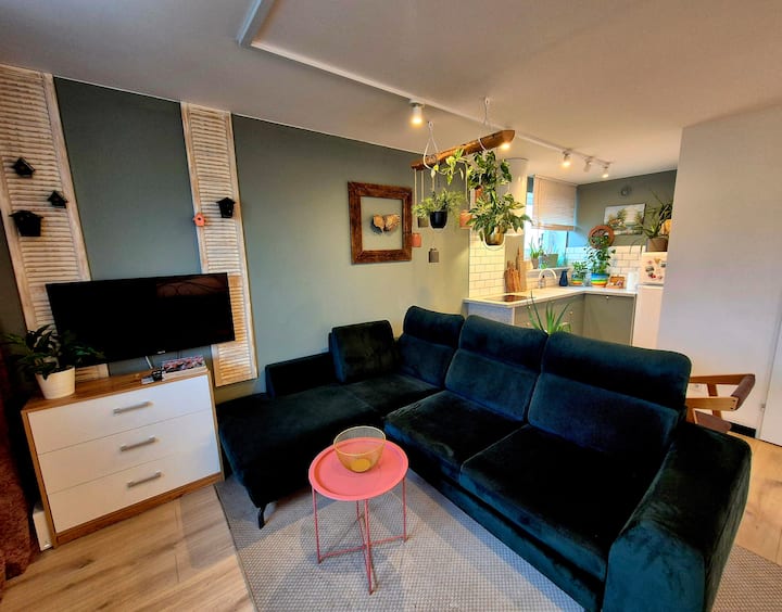 💞🌴Sunny Bright New Renovated Studio - Warszawa