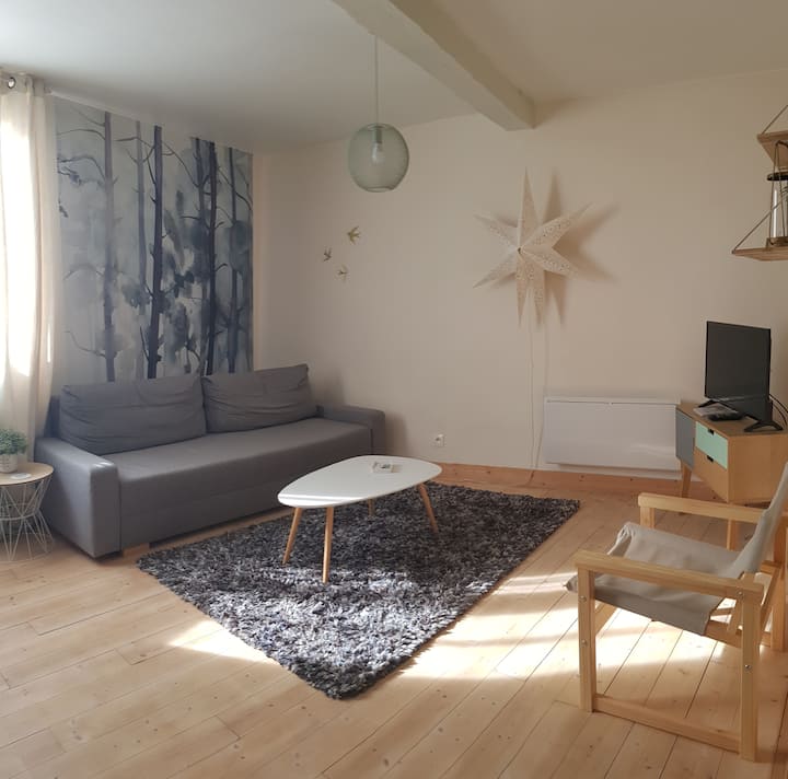 Bel Appartement, 2 Chambres, Centre Ville - ibis Budget Thiers