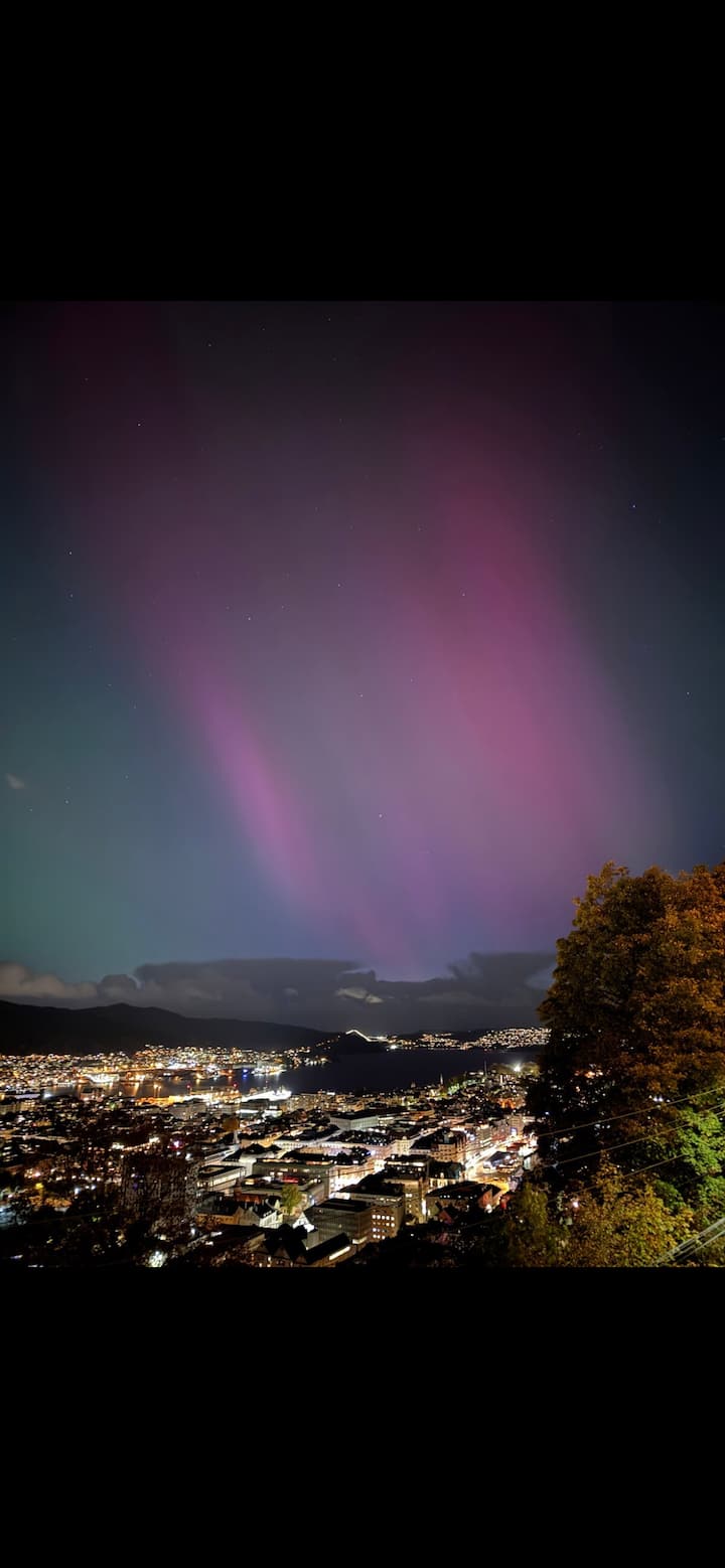 Cozy Studio Apartment With Bergen’s Best View. - Bergen