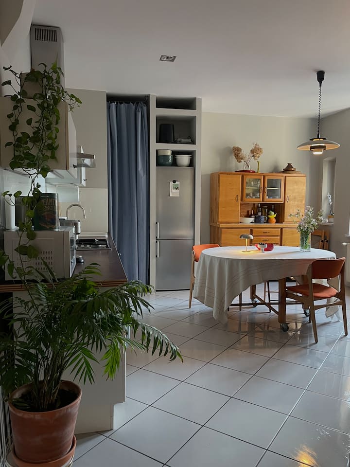 Przestrzenny Apartament W Centrum 90 M2 - ポズナン