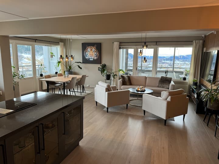 Stor Og Morderne Leilighet Med Spektakulær Utsikt. - Trondheim