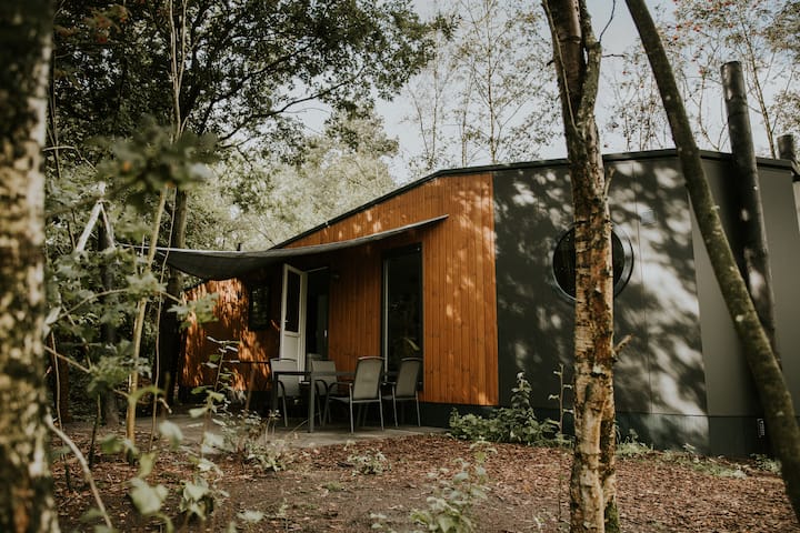 5-person Lodge With Hot Tub Among Trees - Dalfsen