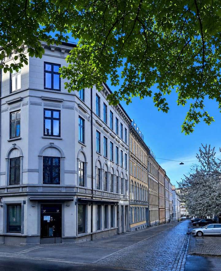 Cosy & Compact Studio Apartment In Central Oslo - Oslo