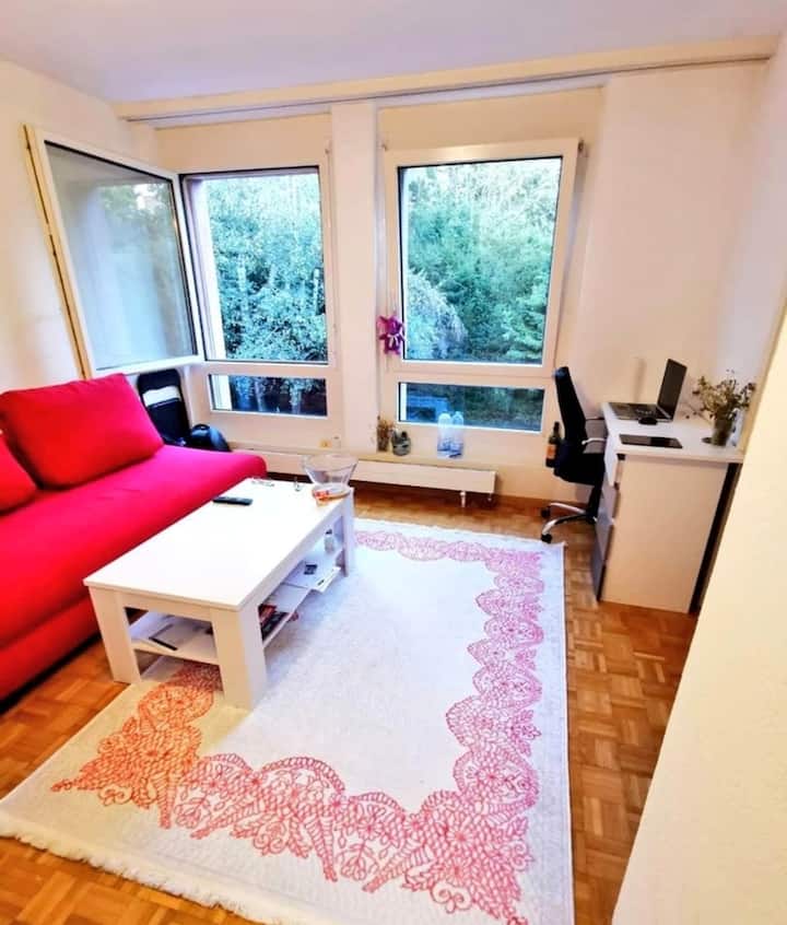 Bright Studio With Green View In Fribourg - Fribourg
