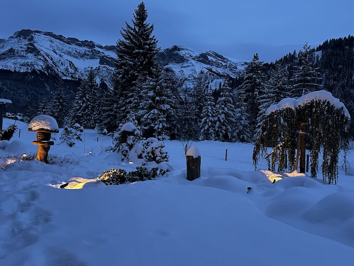 Alpengarten Eigenthal - Private Wellness Retreat - Switzerland