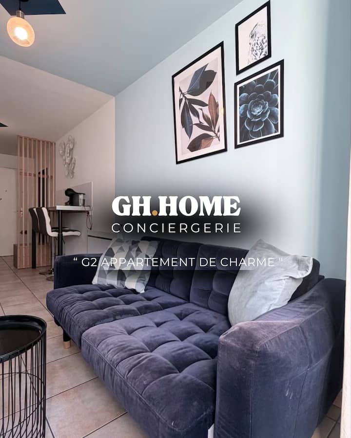 G2 Appartement De Charme, Hyper Centre, Fibre Wifi - Pau