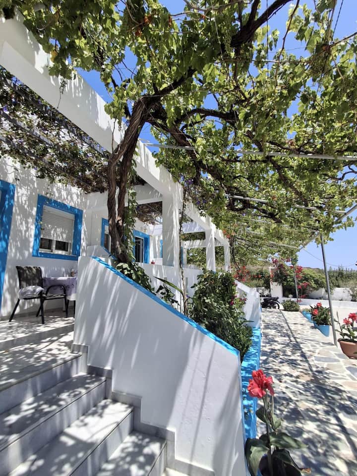 Alexis Studios 1 - Kos