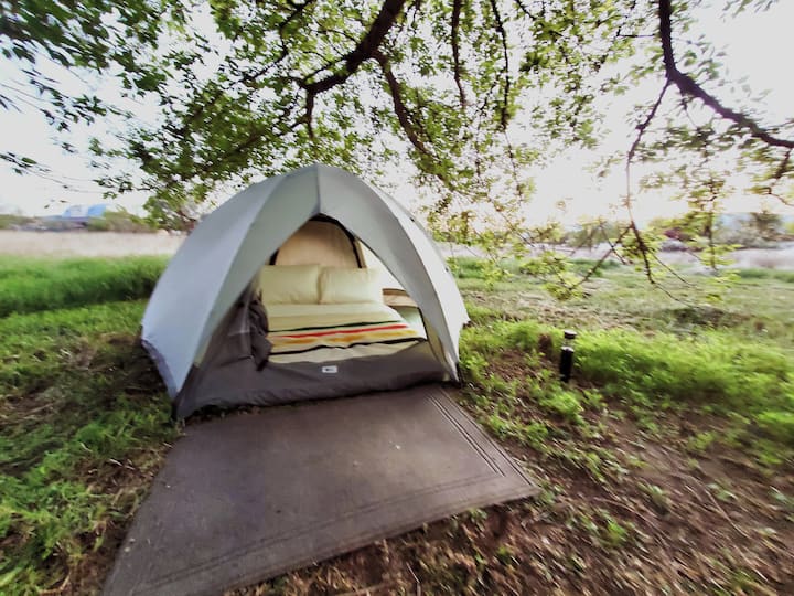 Spend A Night Under The Willow Like It's 1989 - Polson, MT