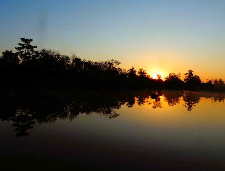 Bayou Cottage
Quiet Bayou Living
Central Location - Louisiana