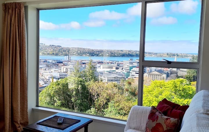 Sunny Central City Apartment, With Stunning Views - Dunedin