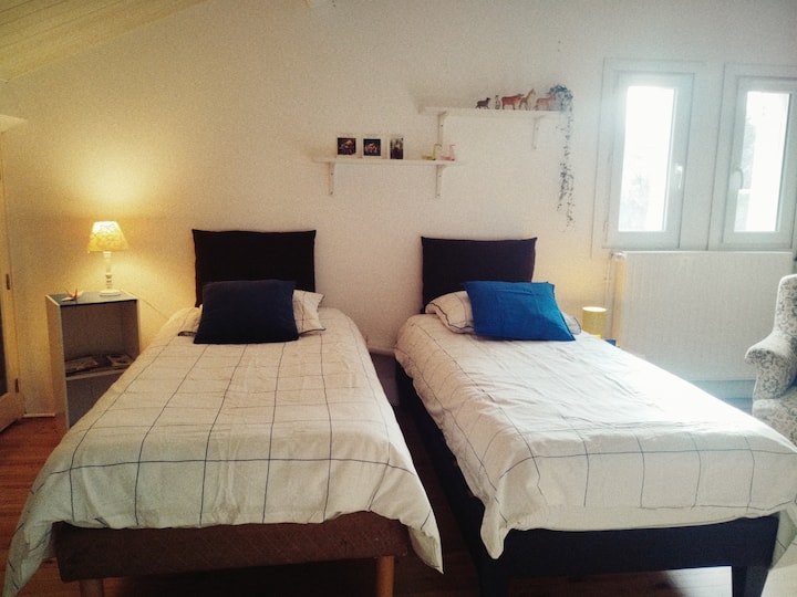 Un Balcon En Forez - Montbrison