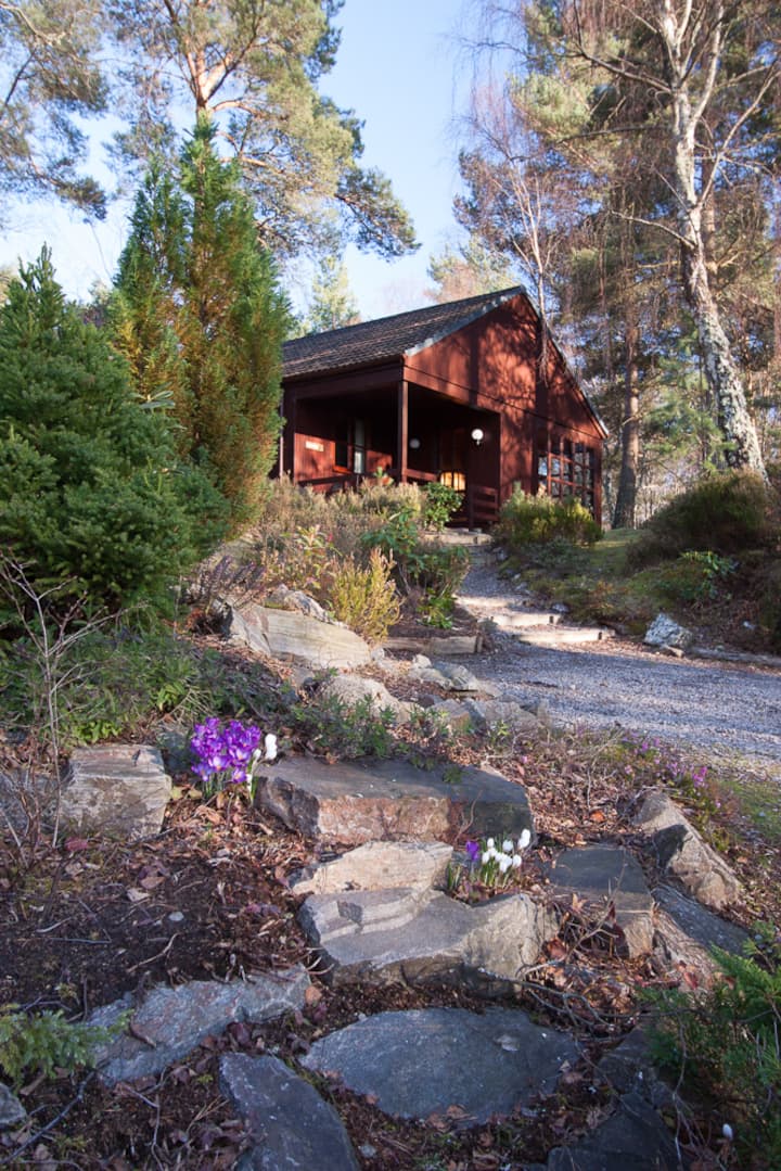 Dog-friendly Woodland Lodge Near Forres - 핀드혼