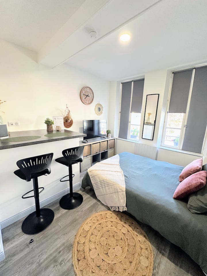 L'emile Zola : Studio Cosy Hyper Centre - Saint-Quentin