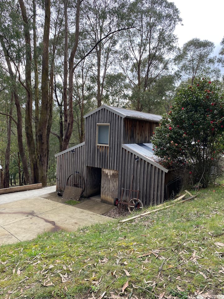 Noojee Barn Top - Noojee