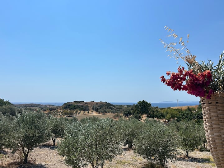Zeytinycesme I Tiny House With Sea View - Çeşme