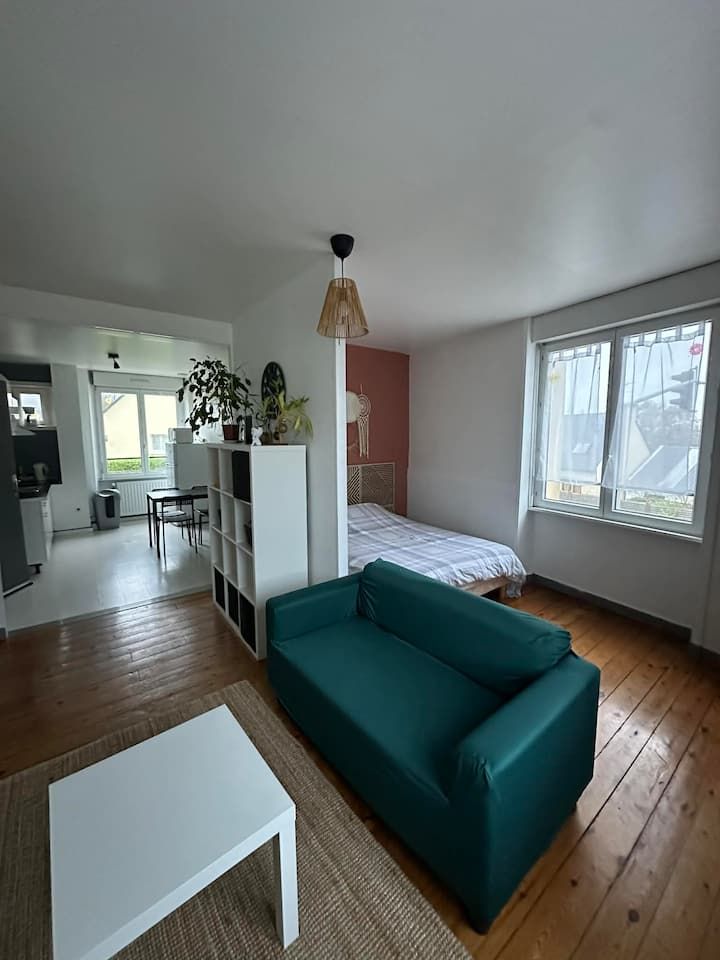 Très Joli T1 à Lambezellec Avec Parking Gratuit - Brest