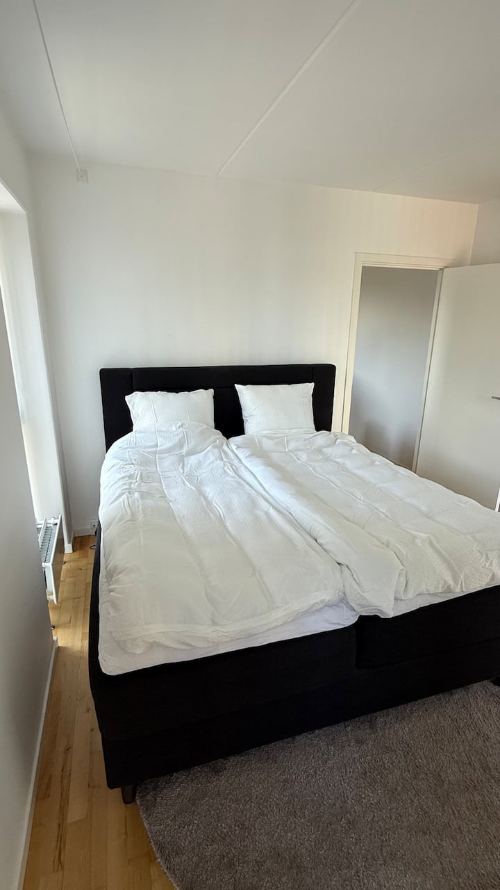2 Værelses Lejlighed - Copenhague