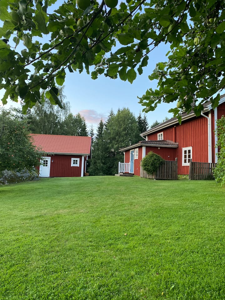 En Lugn Och Rofylld Plats I Skogen! - Alvesta