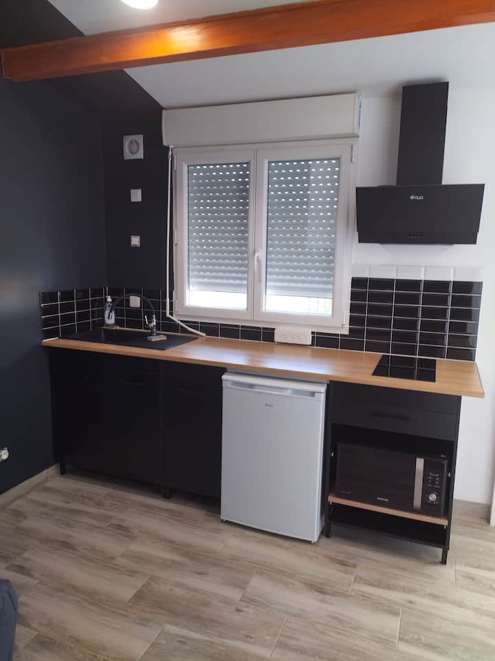 Studio 20m2 Idéal Proche Cnpe Bugey Pipa Ufpi - Lagnieu