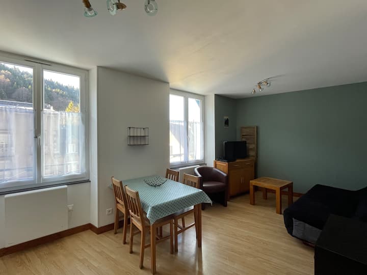 Le Bois Joli 3, 2*, Wifi Et Pkg, Chiens Acceptés - Mont-Dore