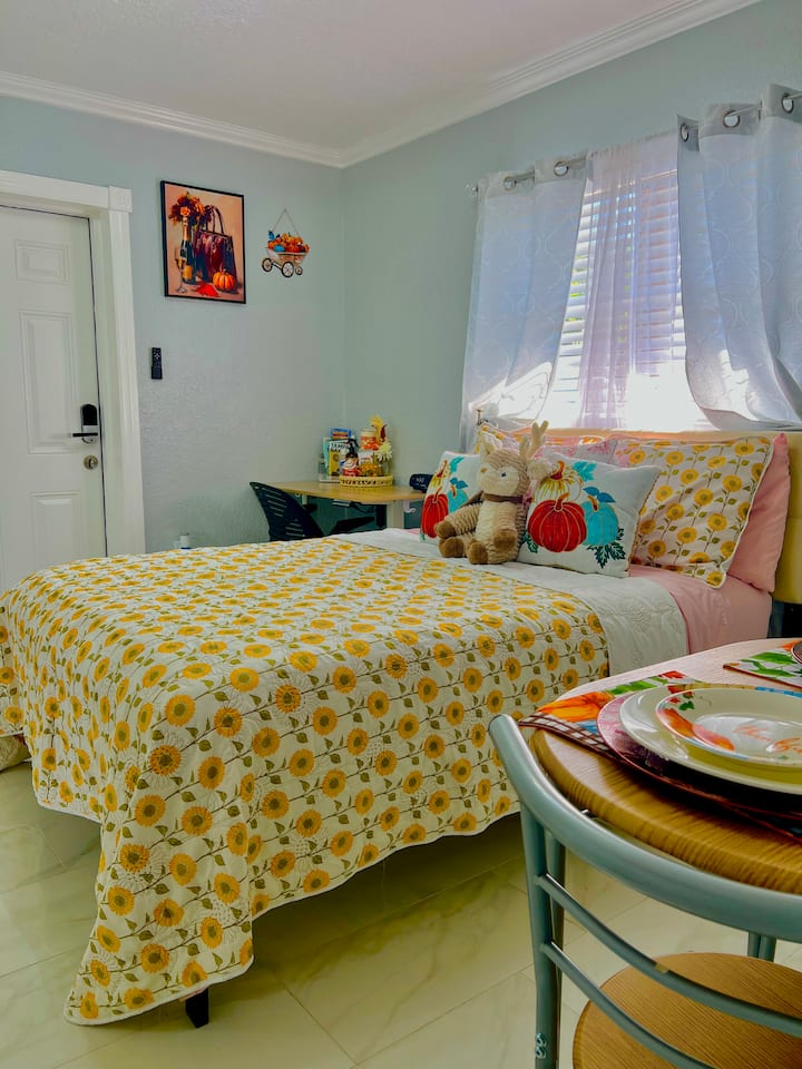 Cozy Guest Suite 10 Min From Downtown Tampa - Tampa, FL