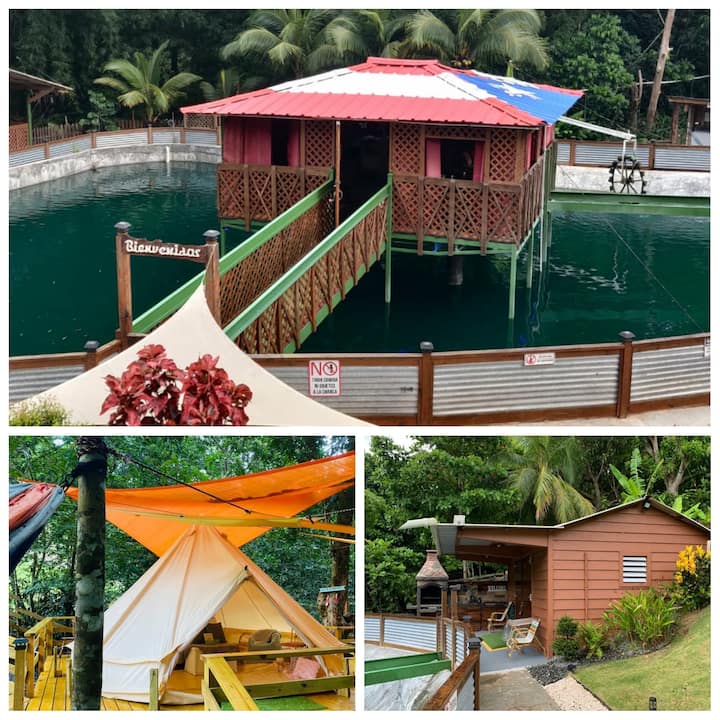 La Charca Eco Camp - Surrounded By Nature! - Aguadilla