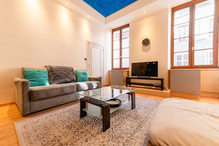 Grand Appartement : Centre Ville D'annecy - Pringy