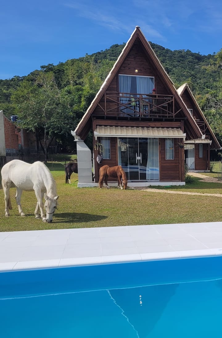 Villa Park - The Little Farm Next To Beto Carrero 3 - Navegantes
