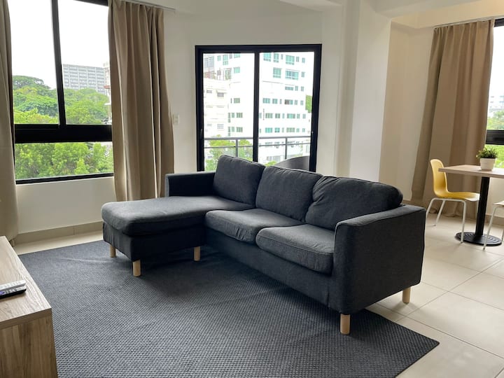 1 Hab. En Gazcue Con Hermosa Vista Al Parque - Santo Domingo