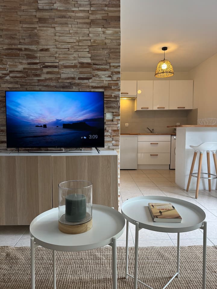 Studio Cosy 10 Min Cannes/antibes Piscine Parking - Antibes