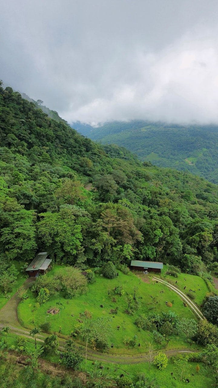 Mountain Hideaway • Jacuzzi & Forest Views - Costa Rica