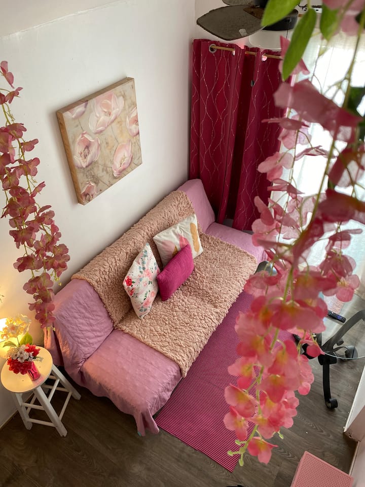Pink Beach House. - Rosarito