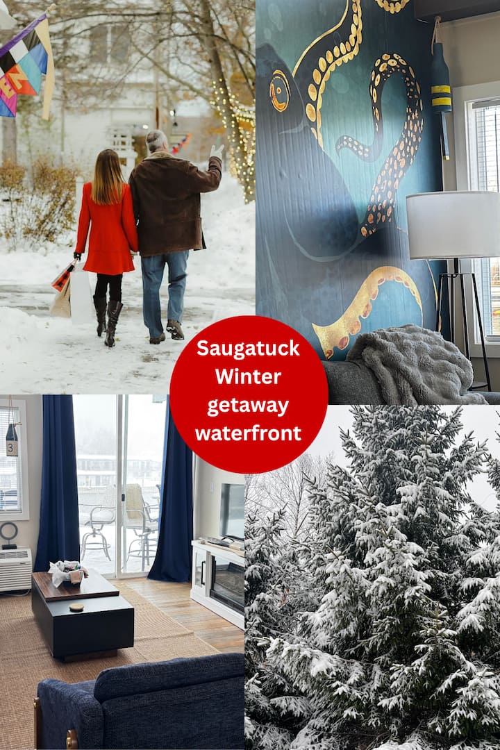 Waterfront Condo -Pool-beach-bike-hike-shop-chill - Saugatuck, MI