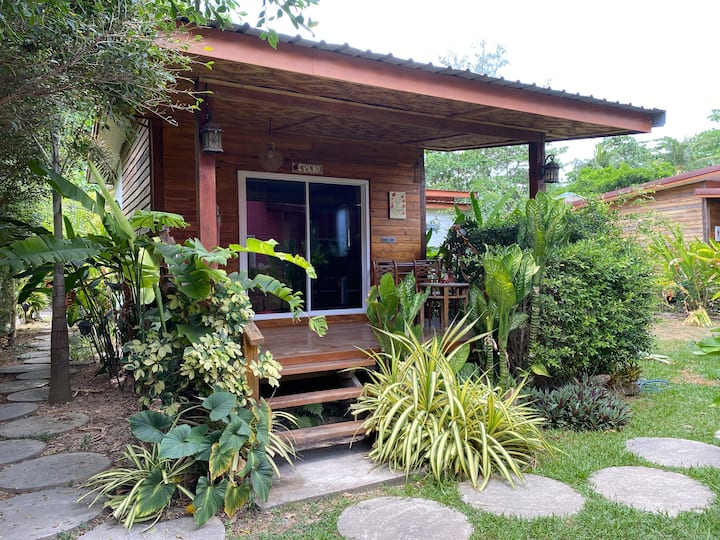 Coconut Lanta Resort @Klong Dow 

Standard Room - Ko Lanta