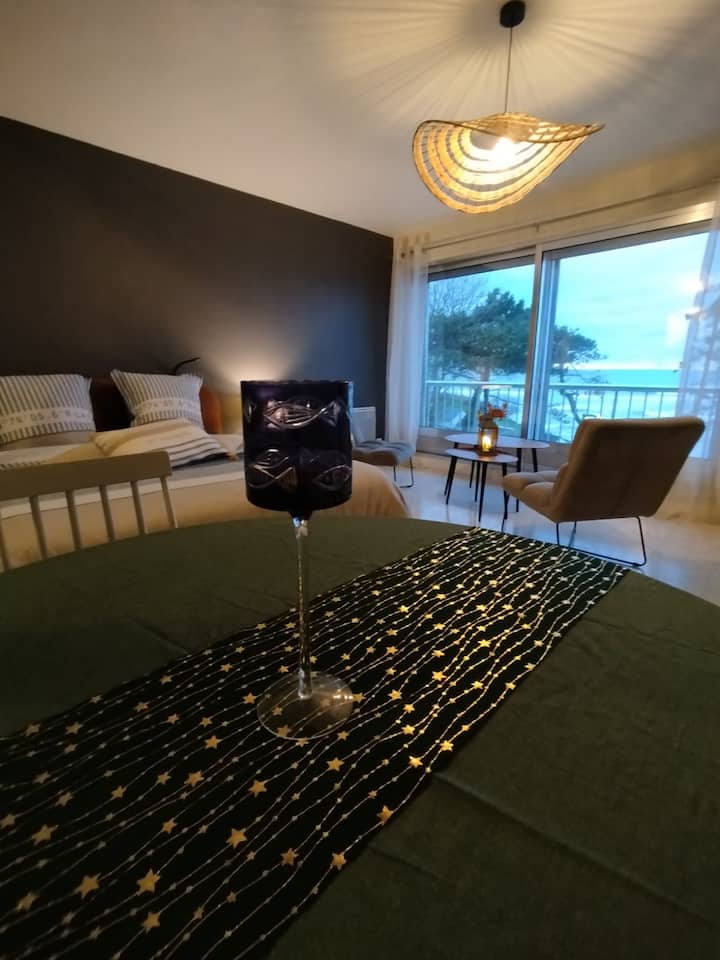 Baie De Douarnenez En Direct Du Balcon ! - Kervel