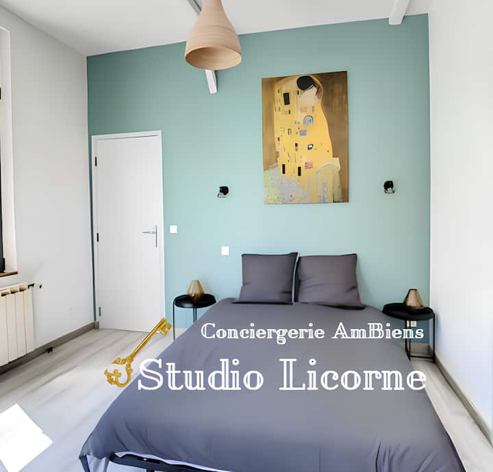 Grand Studio Chaleureux, Stationnement Gratuit - Amiens