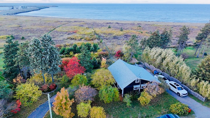 Gloriette-sur-mer
Célébrer L'automne - Matane