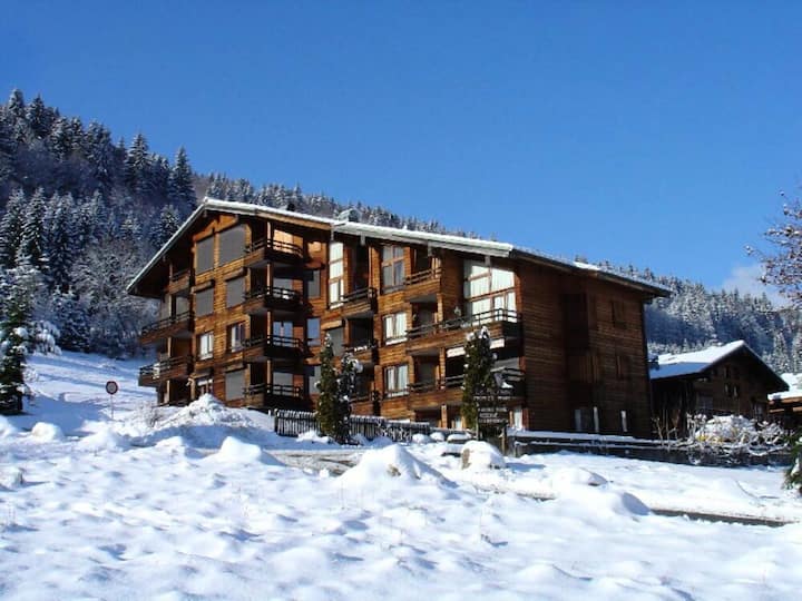 Duplex Ski & Vtt · Vue Panoramique · Morzine - Avoriaz