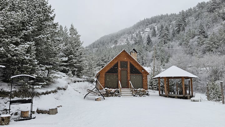 Cozy Cottage Feelfree Continental. In The Forest - Geórgia